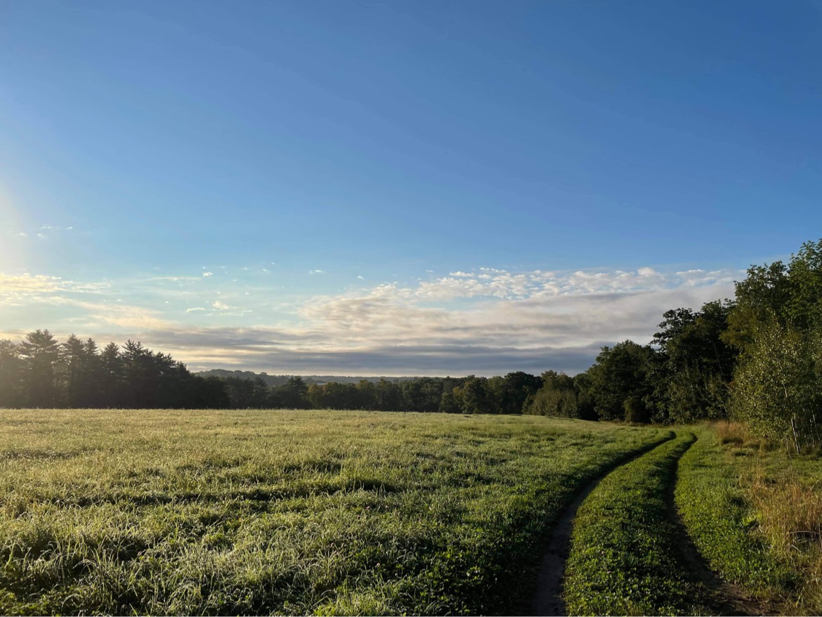 My Favorite Running is Trail Running; Trails in the Greater Portland Area